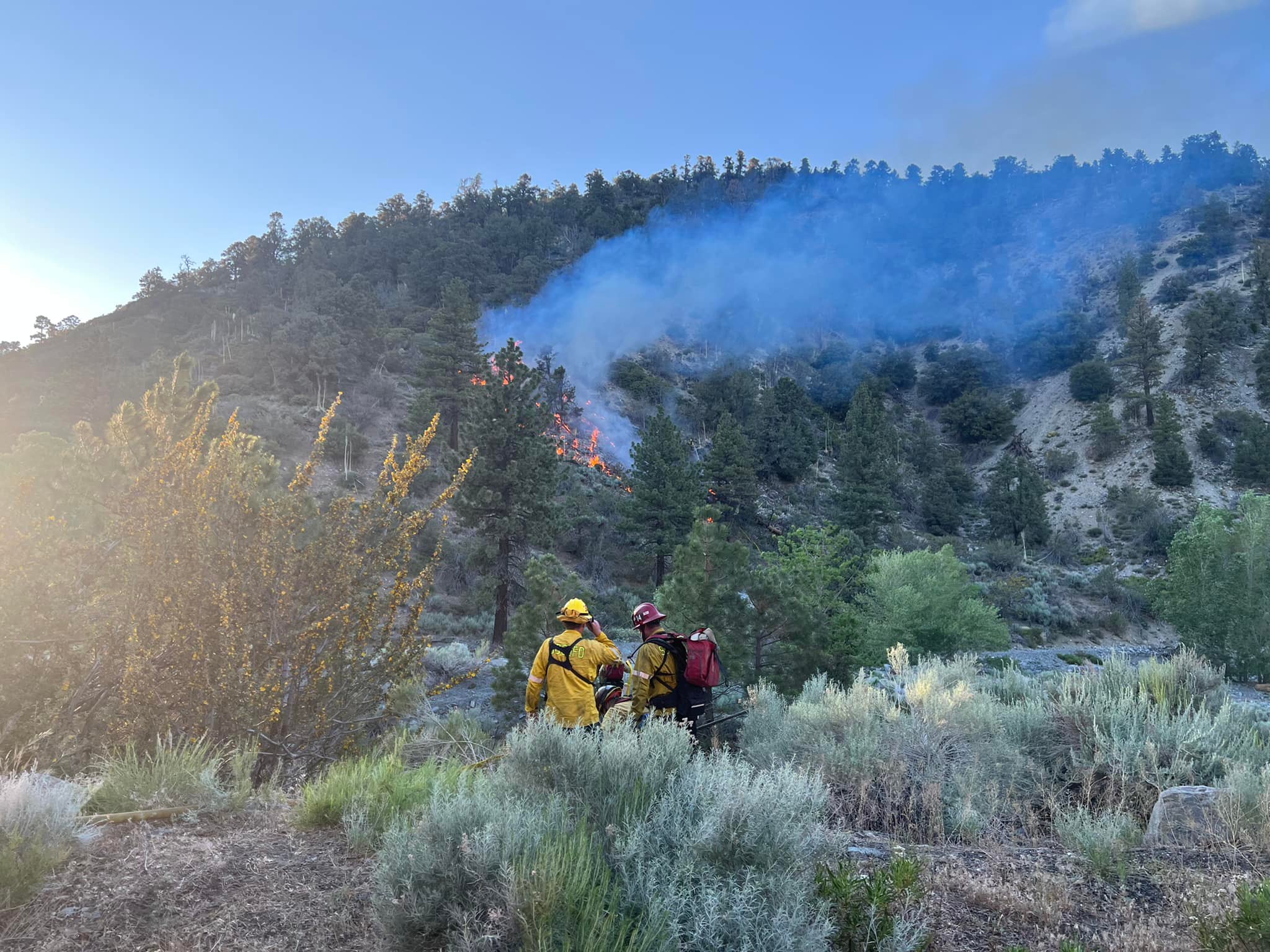 Sheep Fire – San Bernardino County Fire Protection District