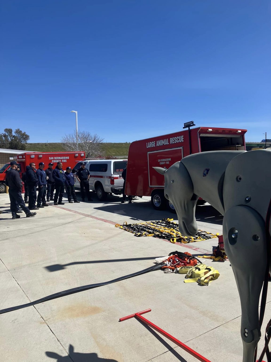 Large Animal Rescue Team – San Bernardino County Fire Protection District