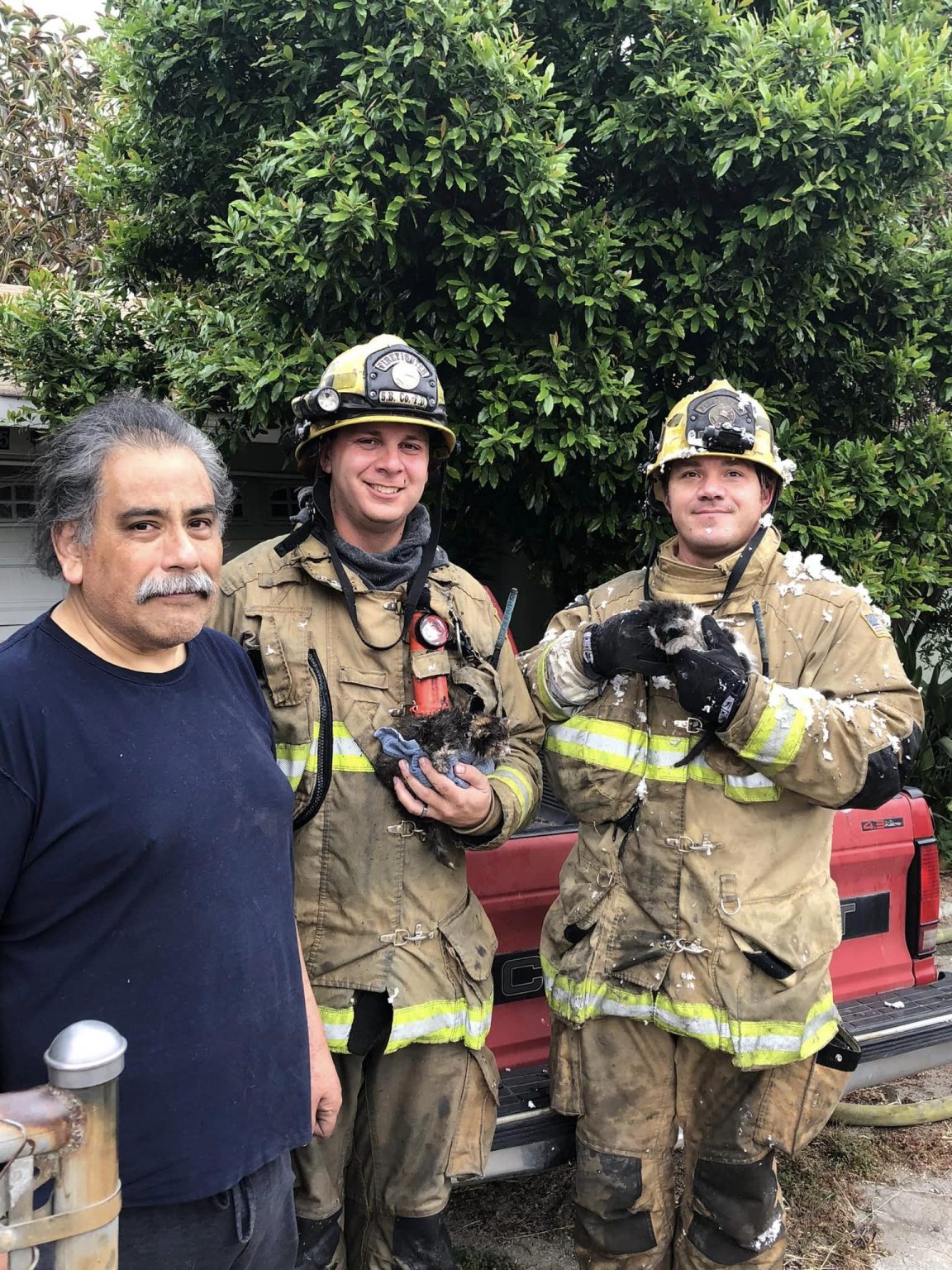 3 Kittens Saved in Fontana House Fire – San Bernardino County Fire Protection District